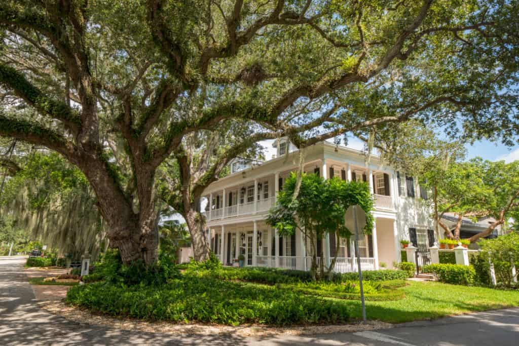 10 Native Florida Trees to Plant in Your Garden - Cape Coral Landscape ...