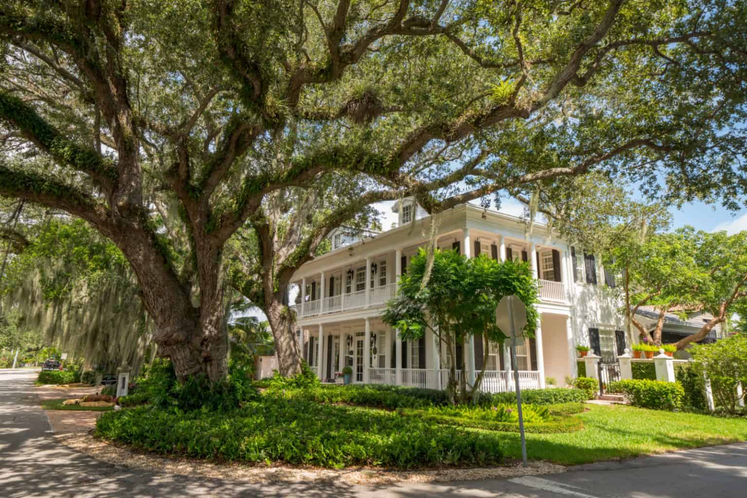 10 Native Florida Trees to Plant in Your Garden - Cape Coral Landscape ...