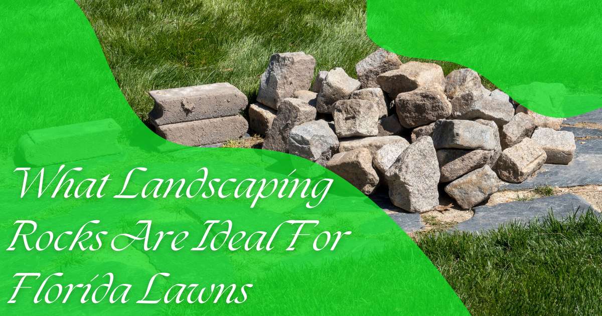 Landscaping Rocks For Florida Lawn