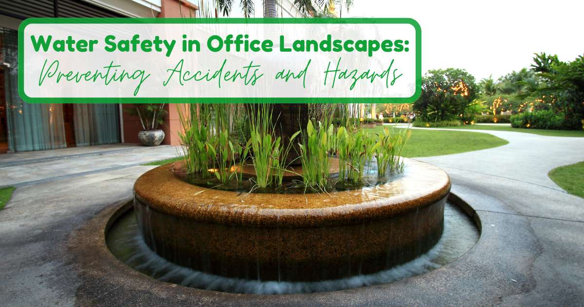 Water Safety in Office Landscapes: Preventing Accidents and Hazards ...